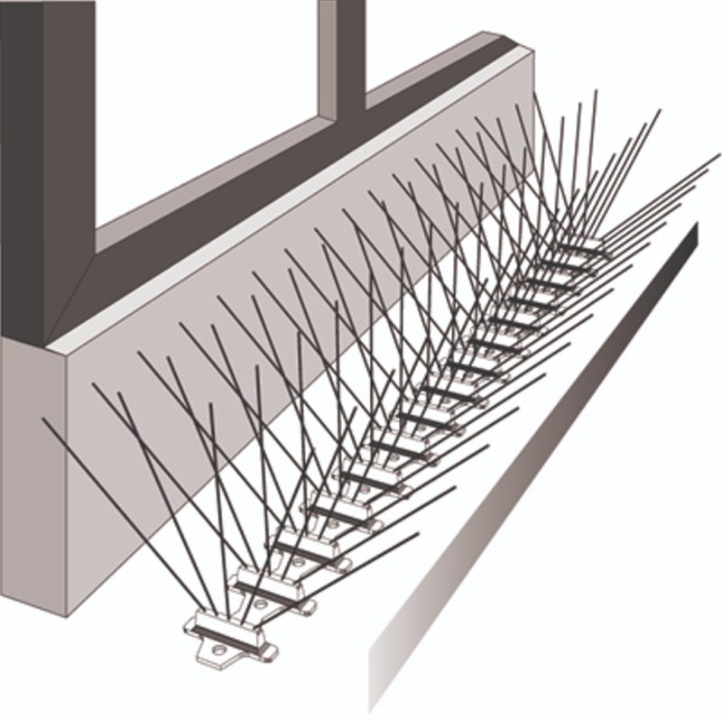 Bird Spikes and Netting Supplies & Installation | Kim Sing Scaffolding ...