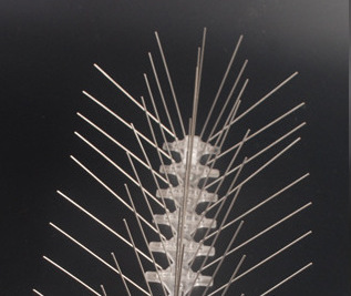 Bird Spikes and Netting Supplies & Installation | Kim Sing Scaffolding ...