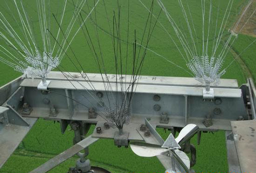 Bird Spikes and Netting Supplies & Installation | Kim Sing Scaffolding ...